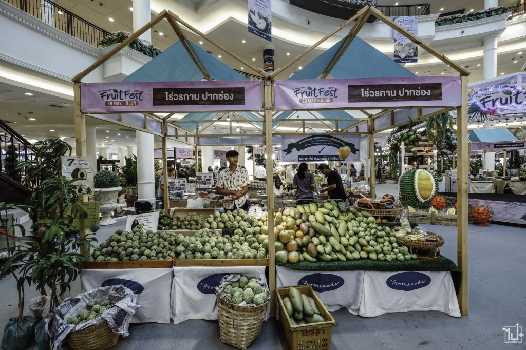 Fruit fest 2019 | งานรวมผลไม้จากสวนทั่วประเทศ | ไปคนเดียว+