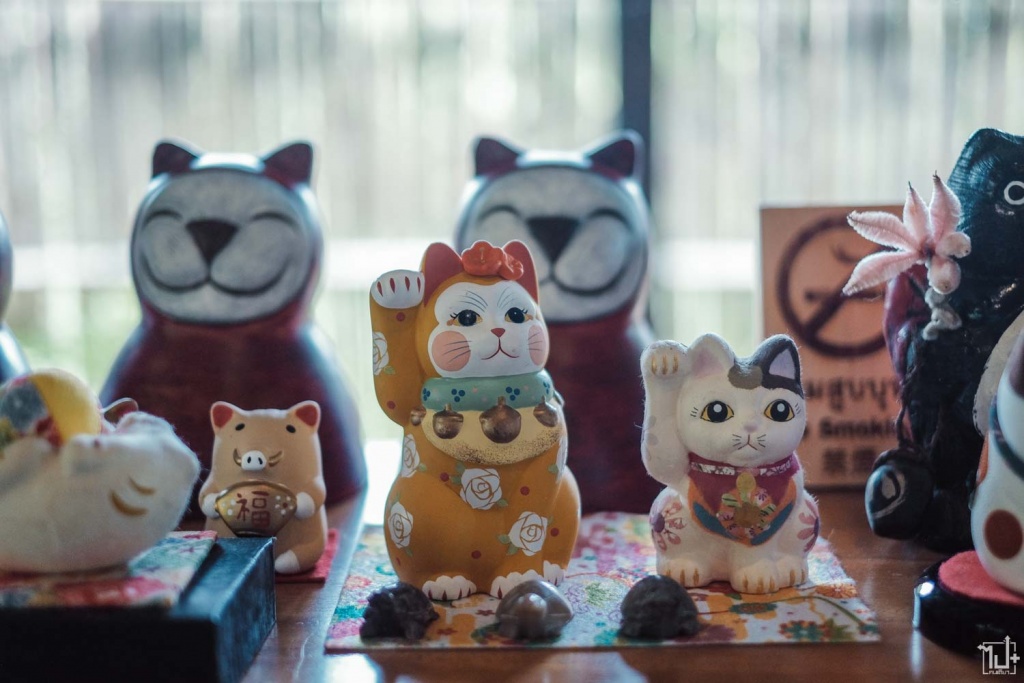 Nekoemon Cafe | คาเฟ่สไตล์ญี่ปุ่น @เชียงใหม่ | ไปคนเดียว+