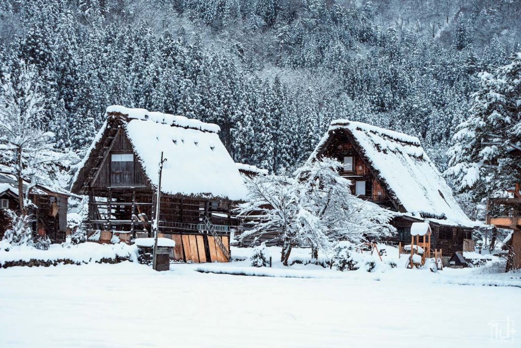 หมู่บ้านในฝัน "Shirakawa-go" | ไปคนเดียว+