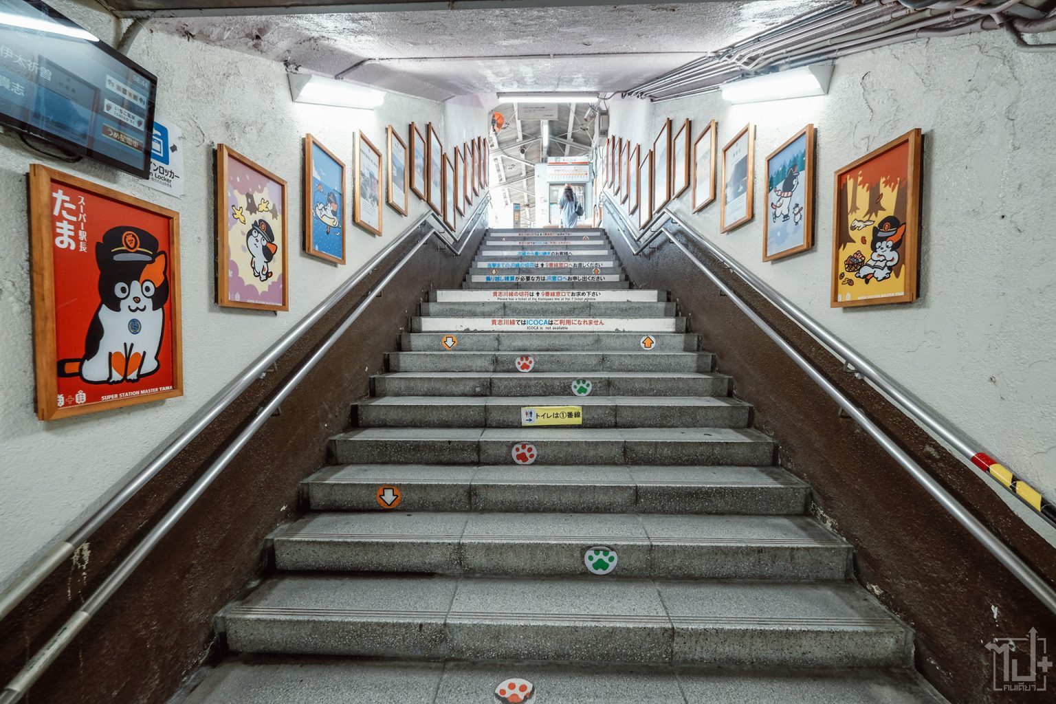 รถไฟสายเหมียวทามะ (Tamadensha Train) | ไปคนเดียว+