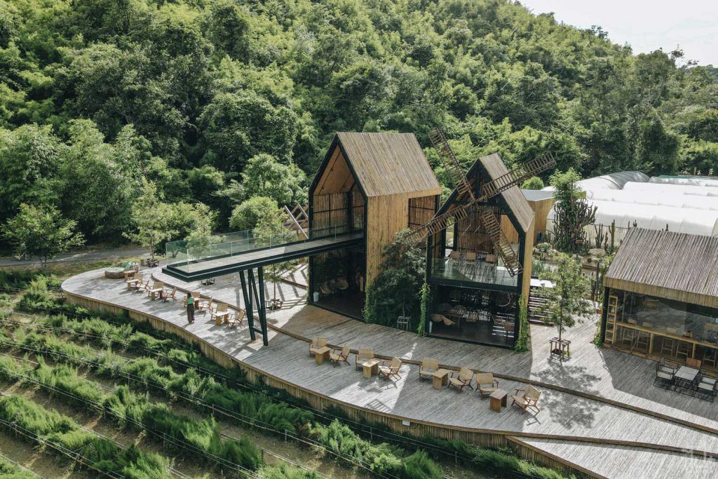 คาเฟ่แคคตัส CHAN nature cafe' | ไปคนเดียว+