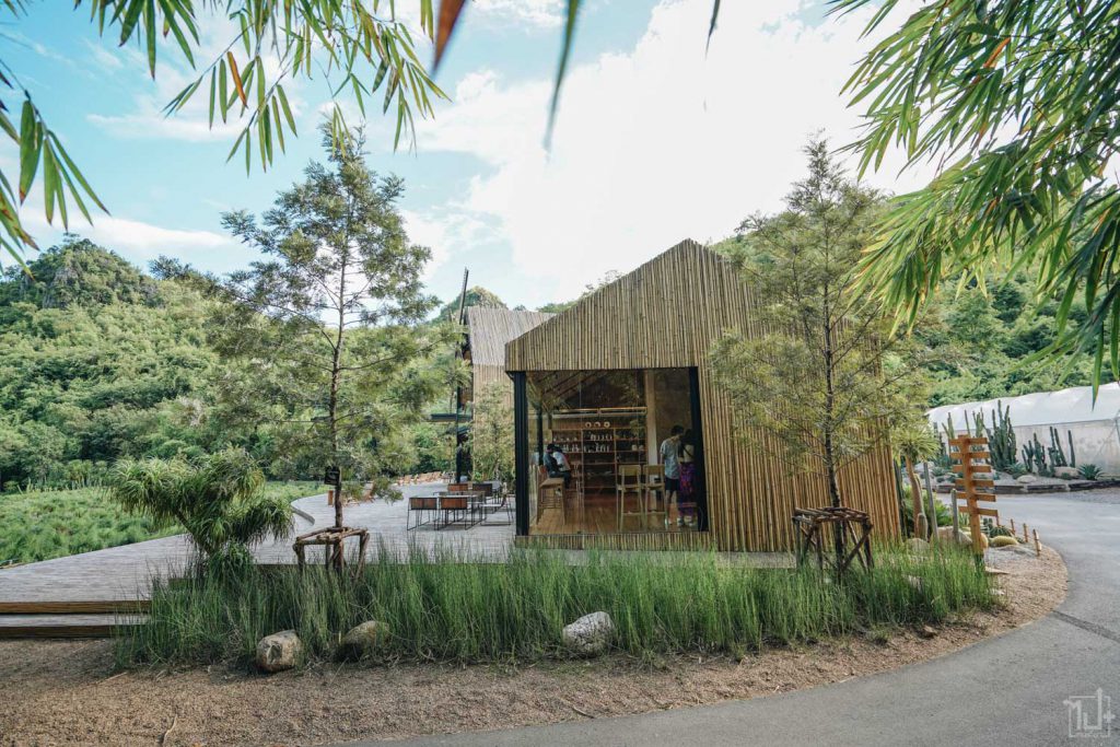 คาเฟ่แคคตัส CHAN nature cafe' | ไปคนเดียว+