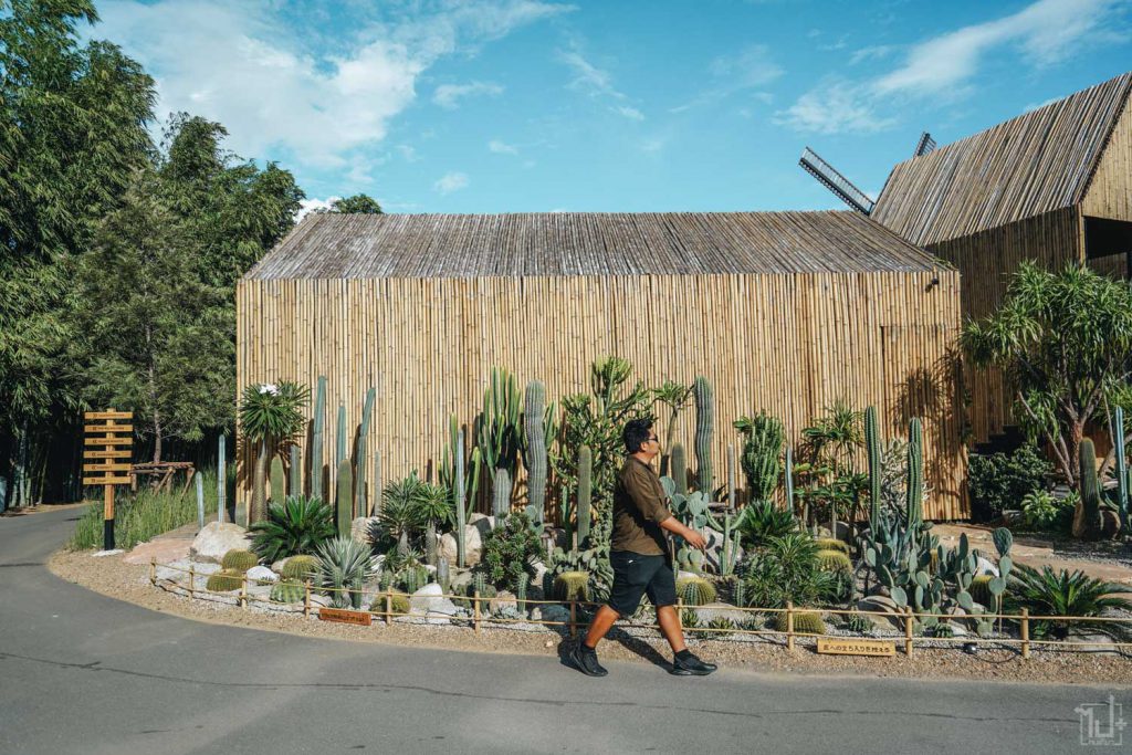 คาเฟ่แคคตัส CHAN nature cafe' | ไปคนเดียว+