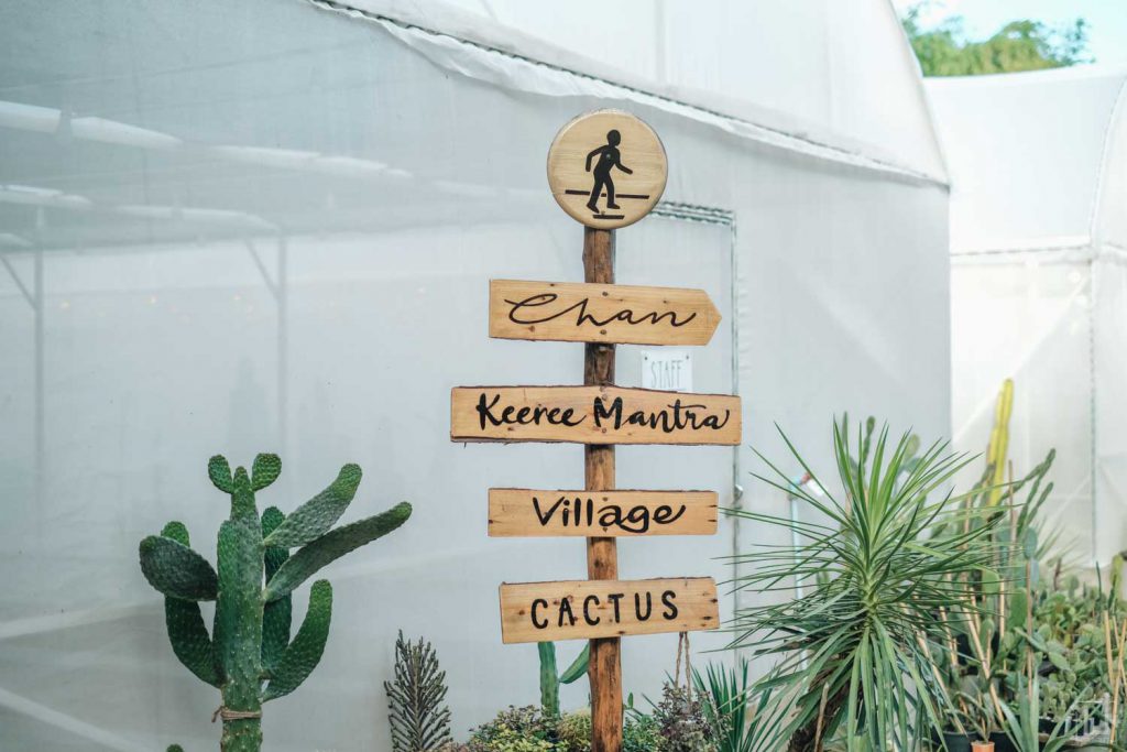 คาเฟ่แคคตัส CHAN nature cafe' | ไปคนเดียว+