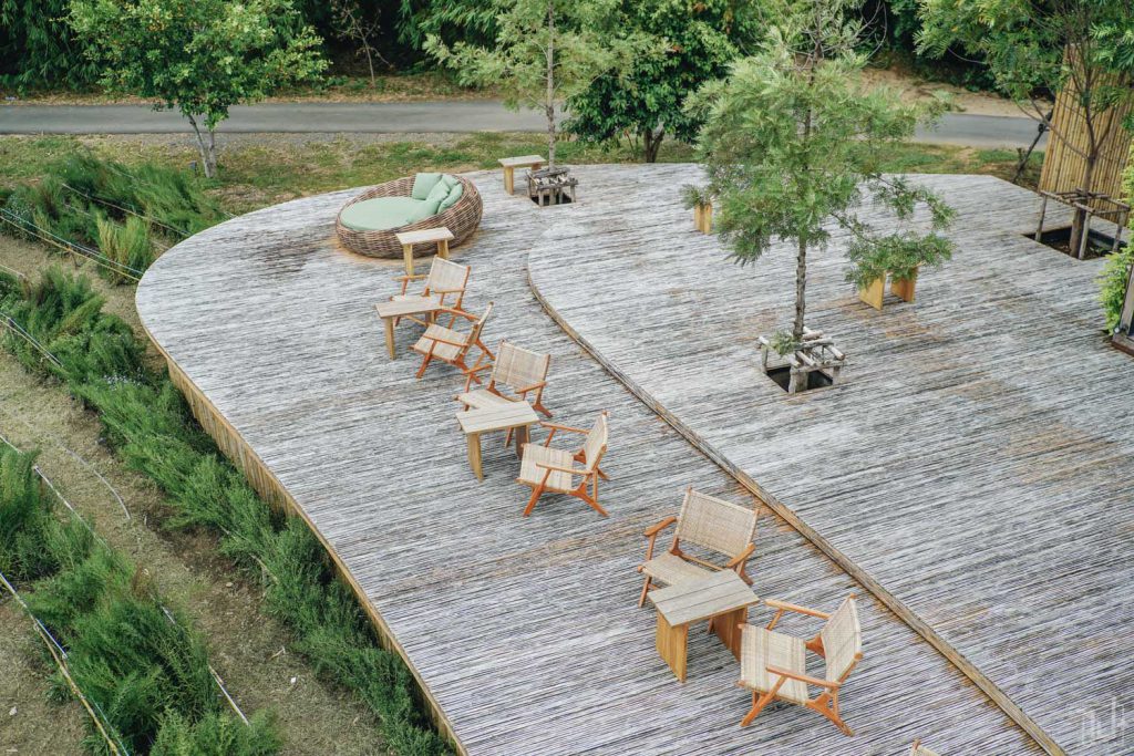 คาเฟ่แคคตัส CHAN nature cafe' | ไปคนเดียว+