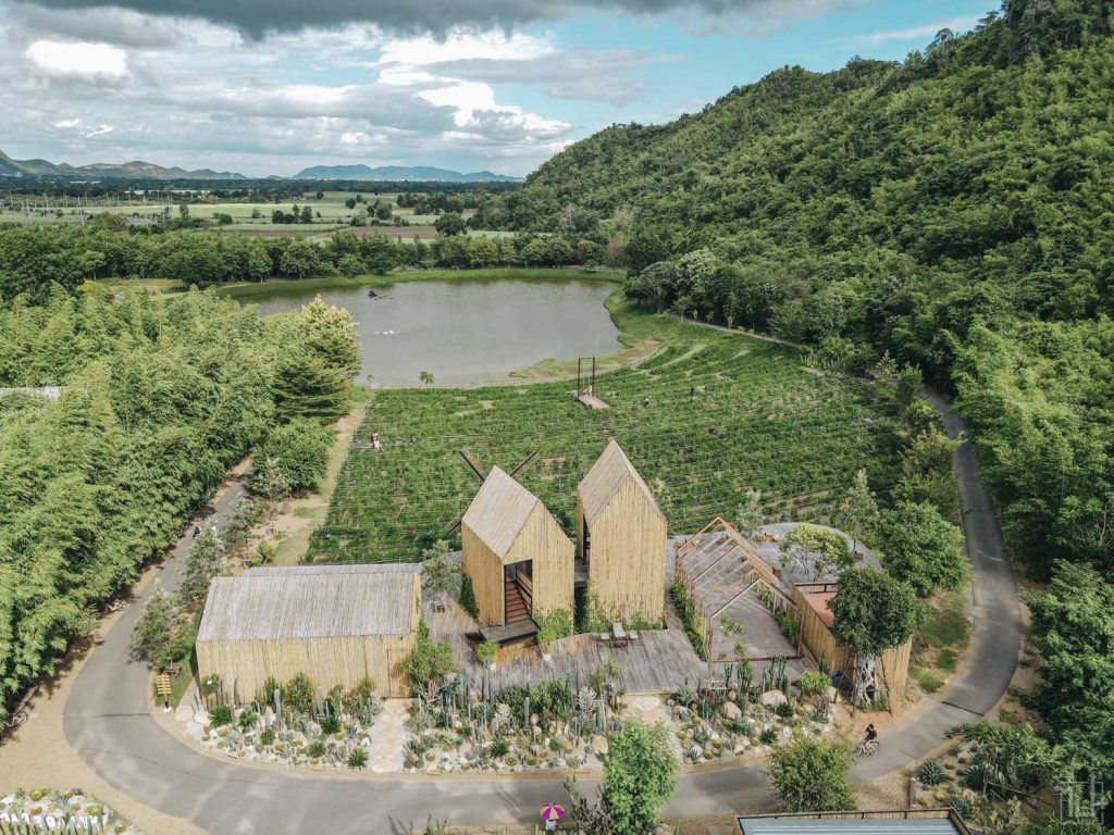 คาเฟ่แคคตัส CHAN nature cafe' | ไปคนเดียว+