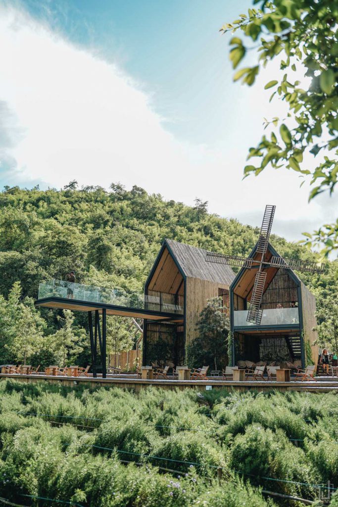 คาเฟ่แคคตัส CHAN nature cafe' | ไปคนเดียว+