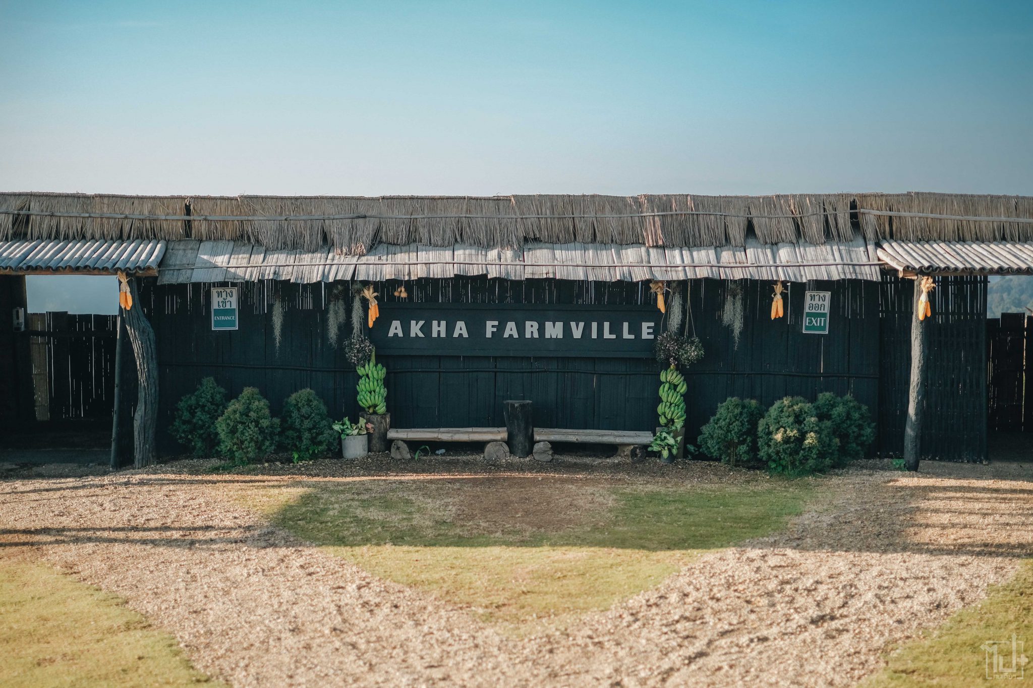 ฟาร์มแกะที่วิวสวยที่สุดในเชียงราย | Akha Farmville | ไปคนเดียว+